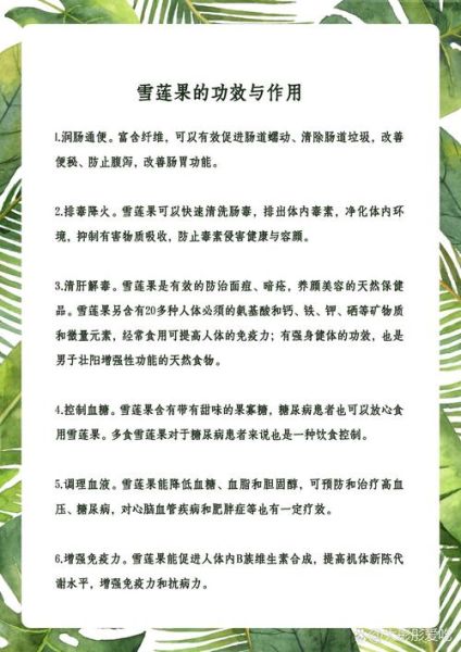 女人每天吃雪莲果好吗_雪莲果的副作用-第1张图片-山城妙识