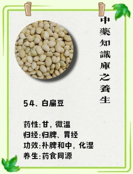 白扁豆粥禁忌人群_哪些人不能吃白扁豆粥-第1张图片-山城妙识 白扁豆粥禁忌人群_哪些人不能吃白扁豆粥-第1张图片-山城妙识