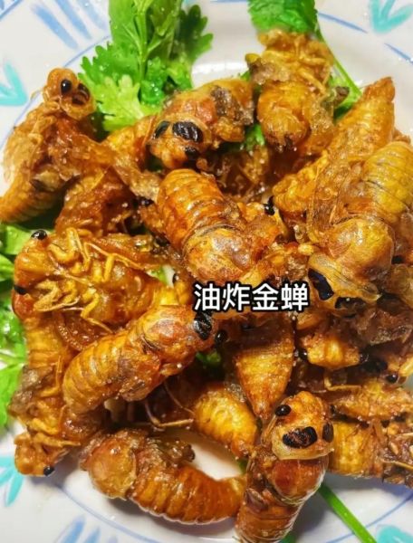油炸知了猴的禁忌_哪些人不能吃-第1张图片-山城妙识