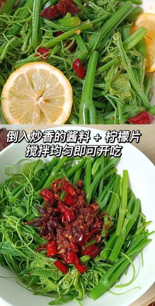 龙须菜怎么种_龙须菜种植图片教程-第1张图片-山城妙识