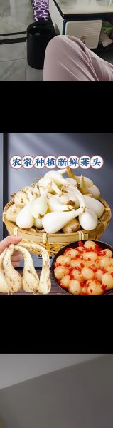 荞头怎么保存_荞头图片大全-第1张图片-山城妙识