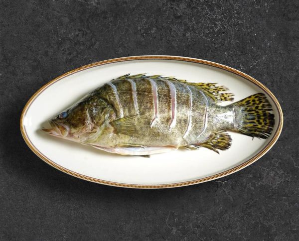 鳜怎么读音_鳜鱼读音是什么-第1张图片-山城妙识