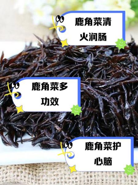 鹿角菜和龙须菜的区别_哪个更有营养-第1张图片-山城妙识