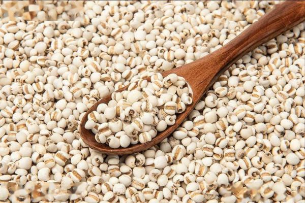 薏米图片大全_薏米长什么样-第2张图片-山城妙识