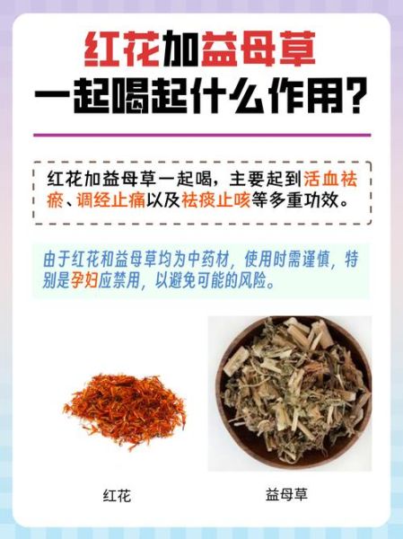 孕妇能喝益母草吗_益母草禁忌人群有哪些-第3张图片-山城妙识