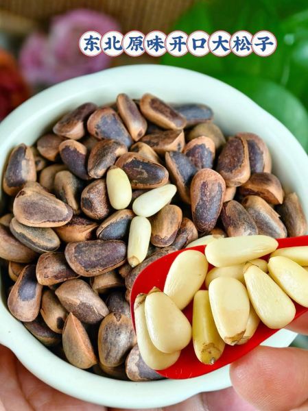 松子一天吃多少粒合适_松子吃多了会怎样-第3张图片-山城妙识