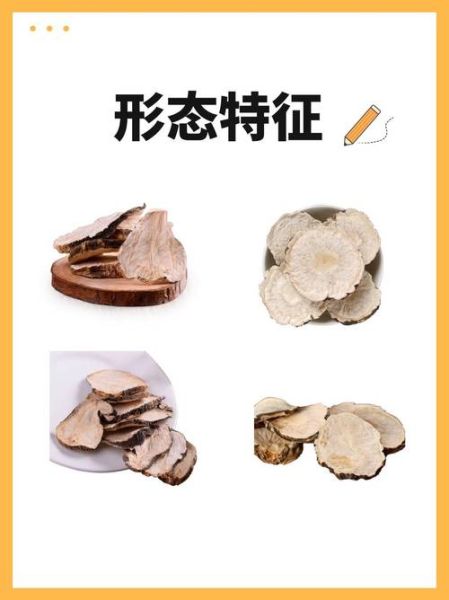 玛卡为什么不能晚上吃_玛卡晚上吃会失眠吗-第2张图片-山城妙识