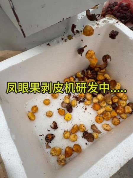 凤眼果怎么剥皮_凤眼果去皮最快方法-第3张图片-山城妙识