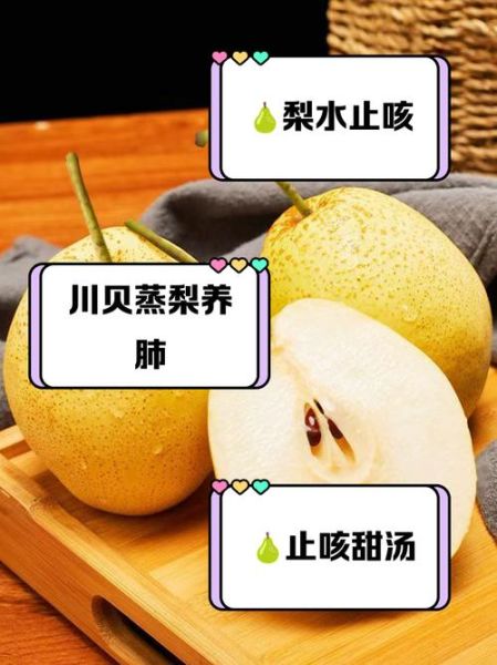 雪花梨的功效与作用_雪花梨的禁忌有哪些-第3张图片-山城妙识