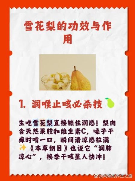 雪花梨的功效与作用_雪花梨的禁忌有哪些-第1张图片-山城妙识