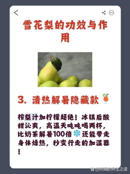 雪花梨的功效与作用_雪花梨的禁忌有哪些-第2张图片-山城妙识