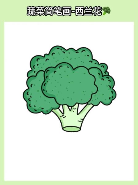 西兰花简笔画怎么画_西兰花图片简笔画教程-第1张图片-山城妙识