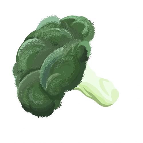 西兰花简笔画怎么画_西兰花图片简笔画教程-第3张图片-山城妙识