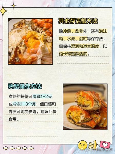 活螃蟹怎么保存10天_活螃蟹保存10天方法-第2张图片-山城妙识