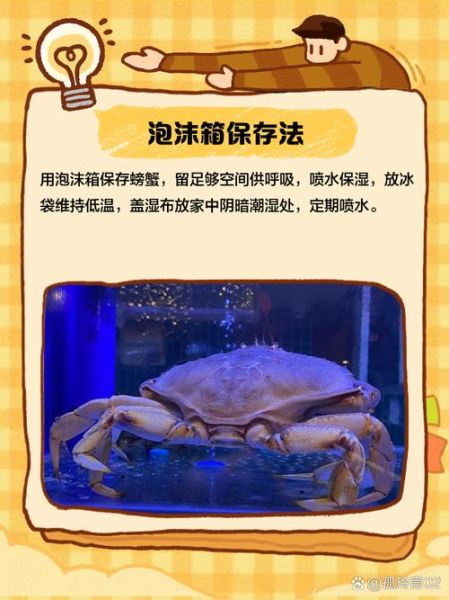 活螃蟹怎么保存10天_活螃蟹保存10天方法-第3张图片-山城妙识