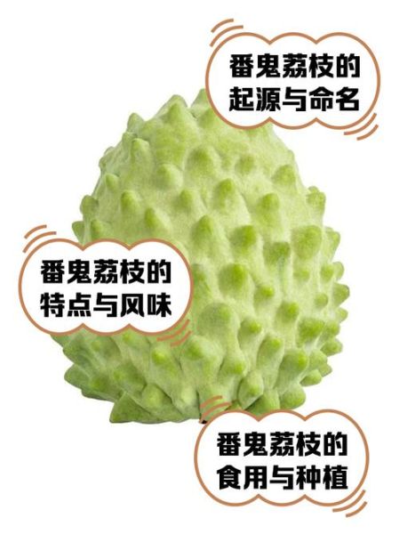 番荔枝图片功效与作用_番荔枝怎么吃最营养-第3张图片-山城妙识