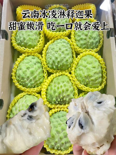 番荔枝图片功效与作用_番荔枝怎么吃最营养-第2张图片-山城妙识