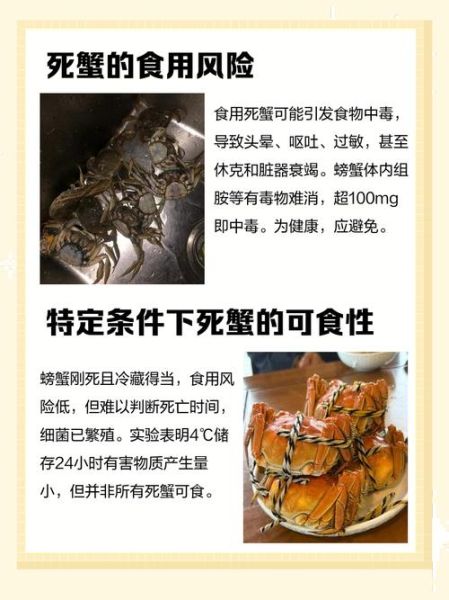 螃蟹死的当天可以吃吗_死蟹当天食用安全吗-第1张图片-山城妙识