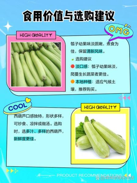 瓠子和西葫芦的区别_哪个更好吃-第1张图片-山城妙识