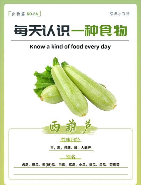 瓠子和西葫芦的区别_哪个更好吃-第2张图片-山城妙识
