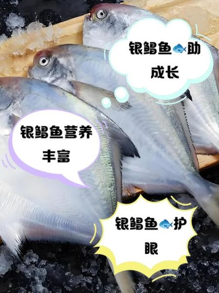 鲳鱼的营养价值_鲳鱼的功效与作用-第1张图片-山城妙识