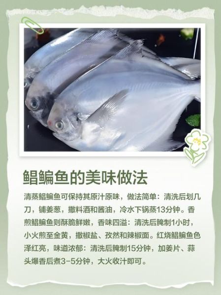 鲳鱼的营养价值_鲳鱼的功效与作用-第3张图片-山城妙识