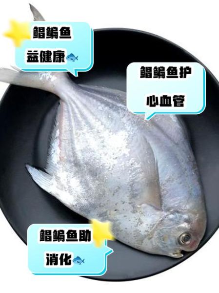 鲳鱼的营养价值_鲳鱼的功效与作用-第2张图片-山城妙识