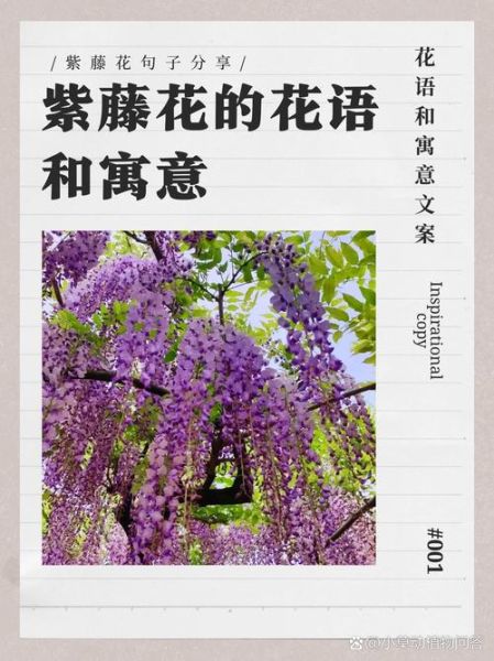 花语大全寓意_什么花代表爱情-第2张图片-山城妙识