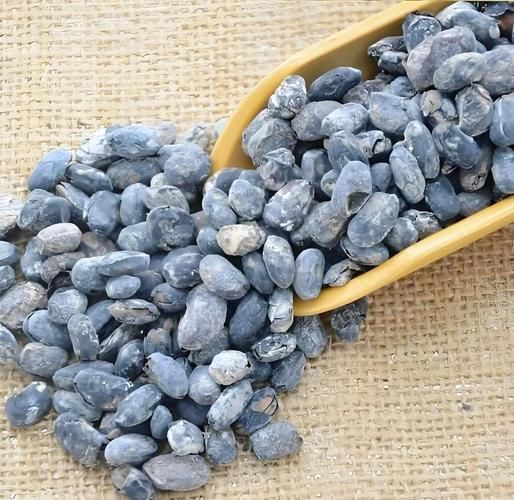 淡豆豉和豆豉的区别_淡豆豉是中药吗-第3张图片-山城妙识