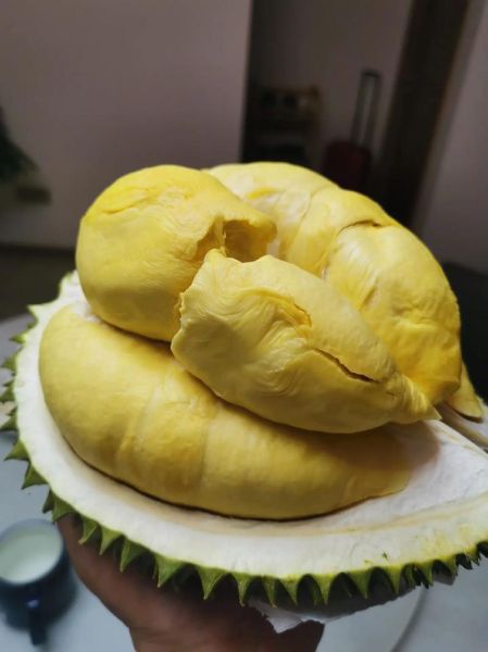 榴莲站长统计黄入口怎么找_榴莲站长统计黄入口安全吗-第3张图片-山城妙识