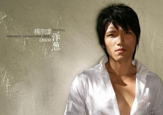 洋葱杨宗纬mp3下载_哪里可以听无损-第1张图片-山城妙识