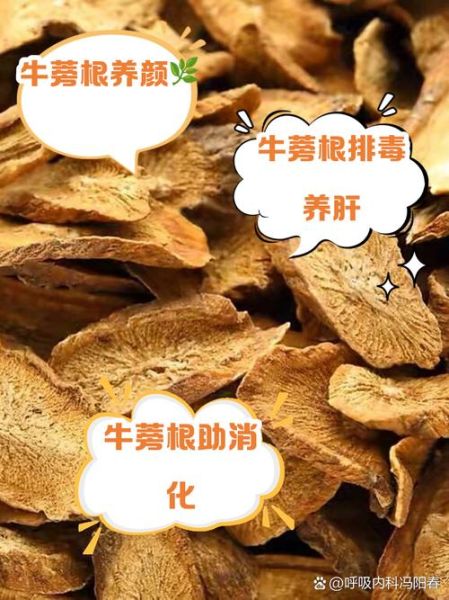女人吃牛蒡有什么好处_牛蒡对女性的功效与作用-第1张图片-山城妙识 女人吃牛蒡有什么好处_牛蒡对女性的功效与作用-第1张图片-山城妙识