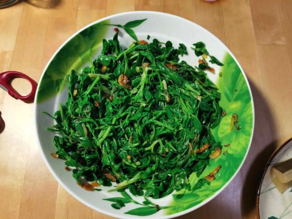 苜蓿怎么吃_苜蓿的做法大全-第1张图片-山城妙识