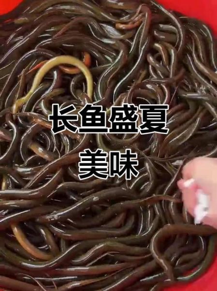 长鱼丝怎么划_长鱼丝划法技巧-第3张图片-山城妙识