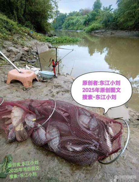 长鱼丝怎么划_长鱼丝划法技巧-第2张图片-山城妙识