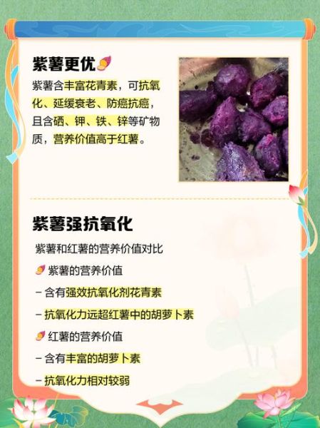 紫薯和红薯哪个营养价值高_紫薯与红薯的区别哪个更好-第2张图片-山城妙识 紫薯和红薯哪个营养价值高_紫薯与红薯的区别哪个更好-第2张图片-山城妙识