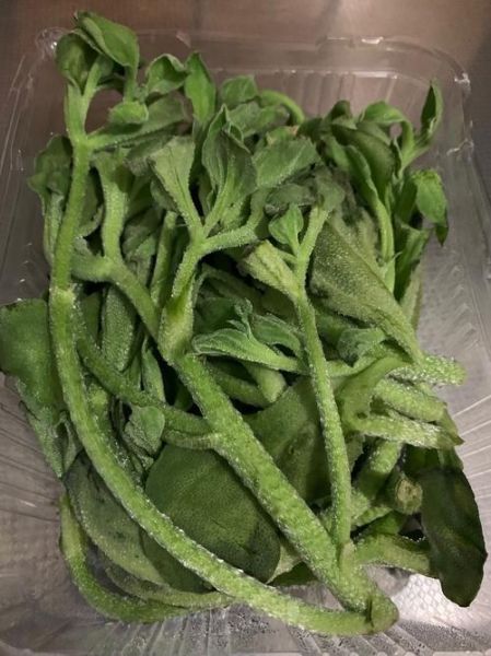 冰草沙拉酱怎么做_冰草沙拉酱做法窍门-第1张图片-山城妙识 冰草沙拉酱怎么做_冰草沙拉酱做法窍门-第1张图片-山城妙识