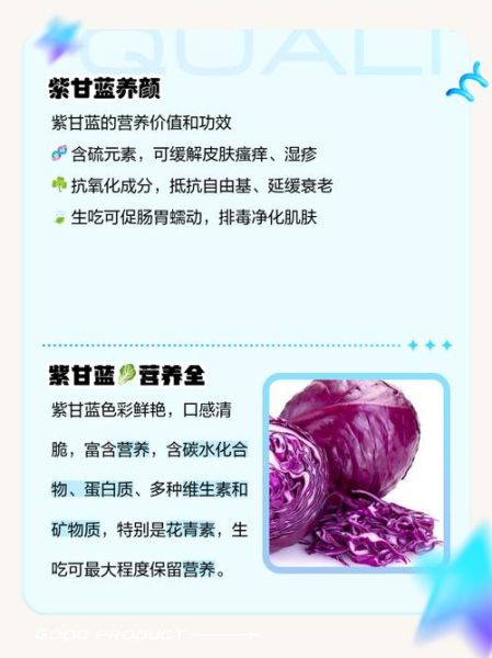 紫甘蓝的功效与作用_紫甘蓝怎么吃最好-第2张图片-山城妙识