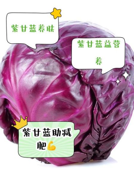 紫甘蓝的功效与作用_紫甘蓝怎么吃最好-第3张图片-山城妙识