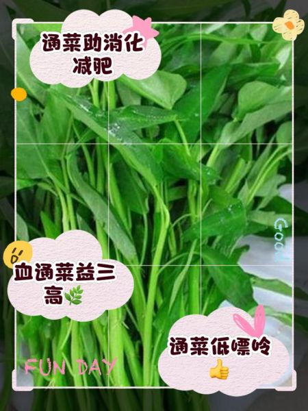 通菜的功效与作用_通菜怎么吃最健康-第3张图片-山城妙识