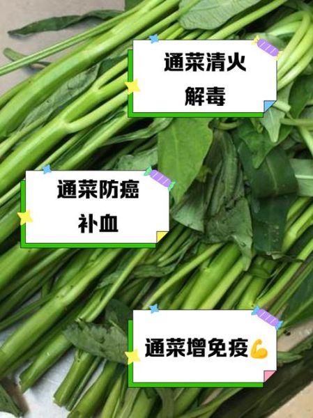 通菜的功效与作用_通菜怎么吃最健康-第1张图片-山城妙识