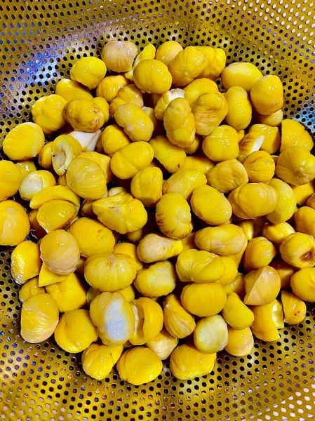 栗子怎么快速剥皮_生栗子去皮最简单的方法-第2张图片-山城妙识