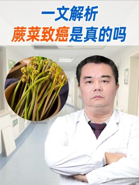 蕨菜致癌是真的吗_蕨菜致癌真相-第1张图片-山城妙识