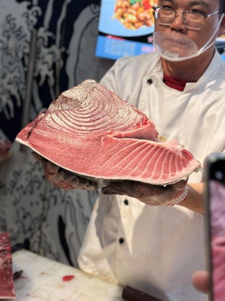 蓝鳍金枪鱼多重_蓝鳍金枪鱼最大多少斤-第3张图片-山城妙识