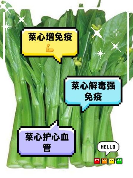 菜心的营养价值有哪些_菜心热量高吗-第1张图片-山城妙识