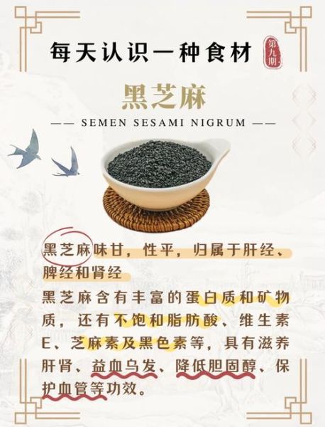 白芝麻和黑芝麻哪个好_营养功效对比-第1张图片-山城妙识
