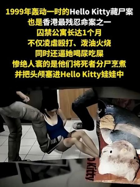 kt猫藏尸案详细经过_凶手是谁-第1张图片-山城妙识