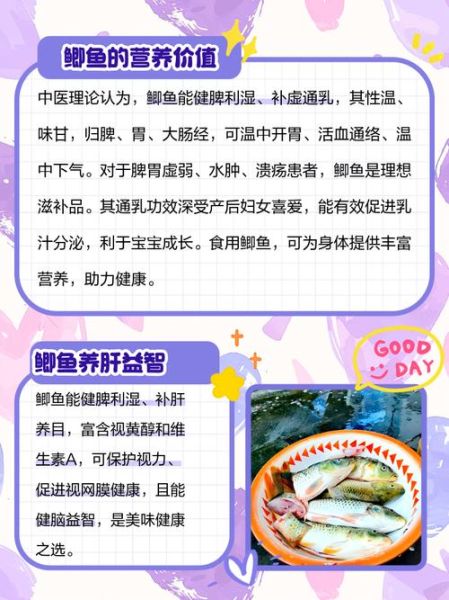 鲫鱼的营养价值及功效作用_鲫鱼怎么吃最补-第1张图片-山城妙识