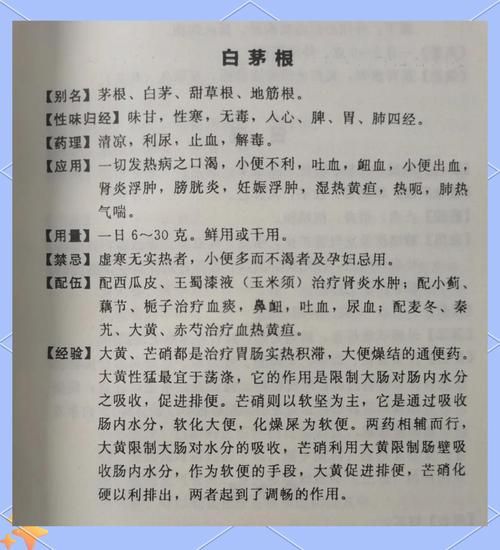 白茅根的功效与作用_白茅根能治哪些病-第1张图片-山城妙识 白茅根的功效与作用_白茅根能治哪些病-第1张图片-山城妙识