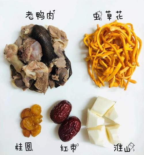 老鸭煲汤用什么材料好_老鸭汤的经典配料有哪些-第1张图片-山城妙识